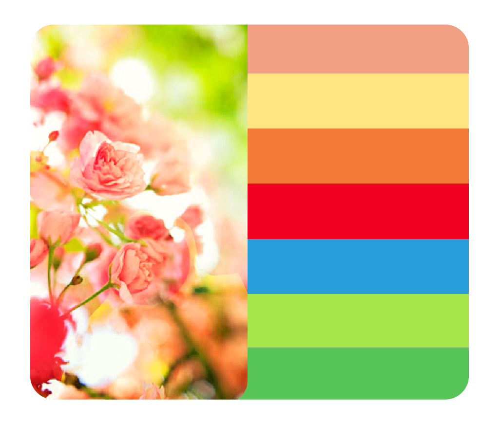 Studio Immagine | Primavera Clara