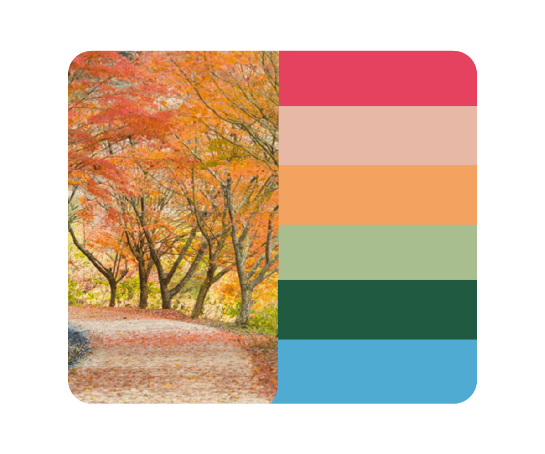 Studio Immagine Outono Suave